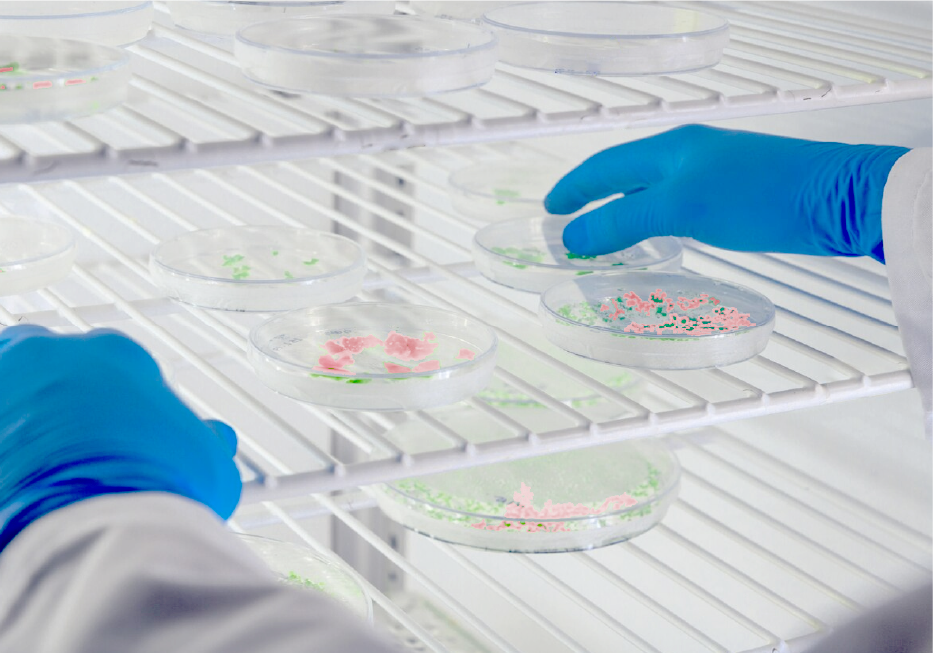 Exploring Frozen Section Pathology and Imaging