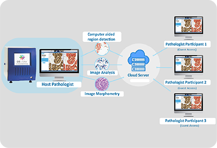 Digital Pathology Scanners | Digital Slide Scanners – OptraSCAN